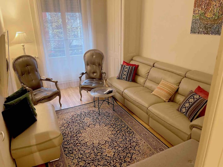 Belle Appartement Au Plain Centre  De Genève Lac - Geneva