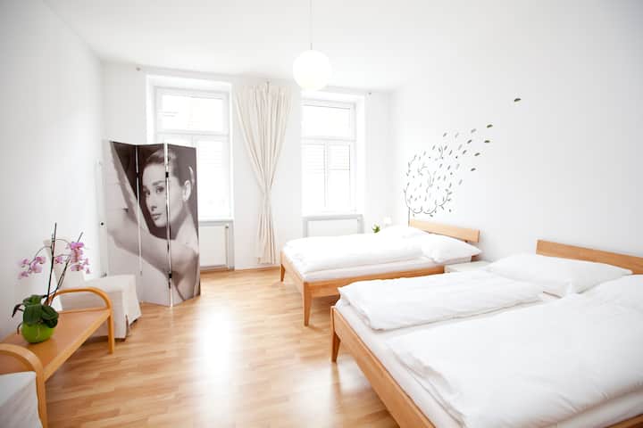 Viennaflat Classic: Spacious Flat In The Center - Wenen