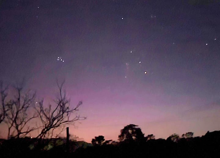 Truffle Honey Cottage - Warkworth
