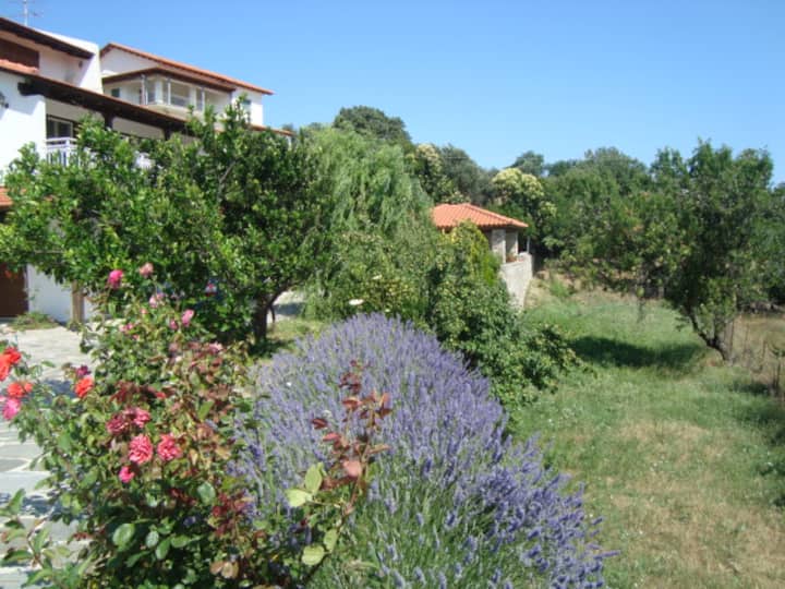 Luxury Villa Located Near Beach - Marmari