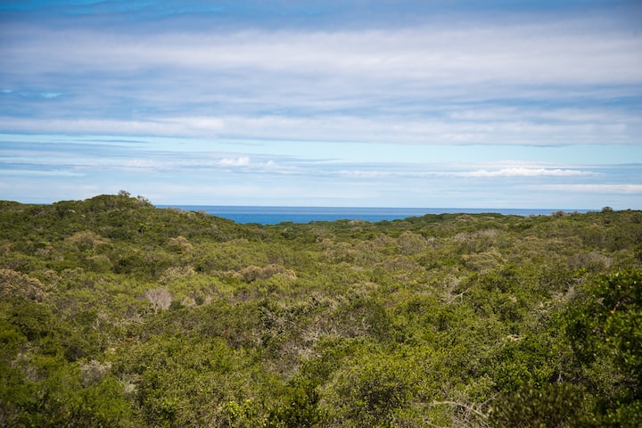 Shepherds Keep Gîte, The Bush Cabin - Sedgefield
