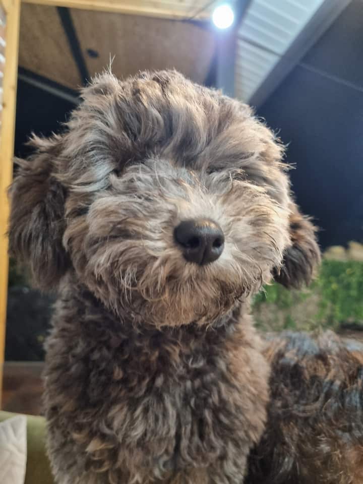 구미시 "빨간지붕 루이네 집" A동 안채(가든뷰) - 선산읍