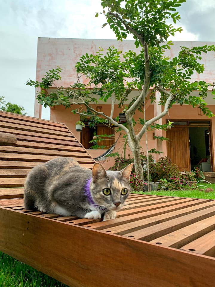 Casita Baiana: Juntinho Do Mar E Da Floresta. - Brazil