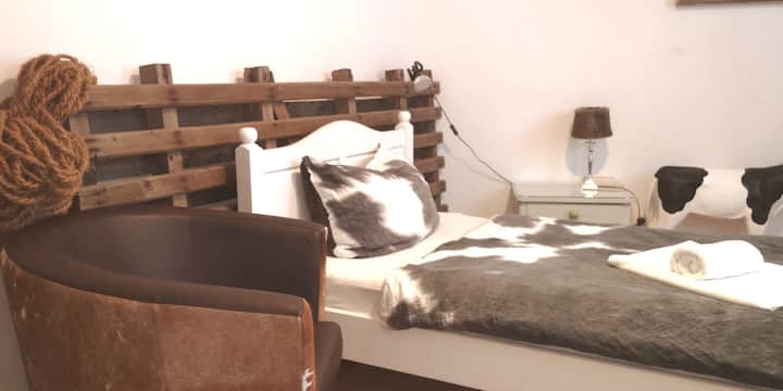 Cow Design Room, Burbacher Hof Guesthouse - Bonn