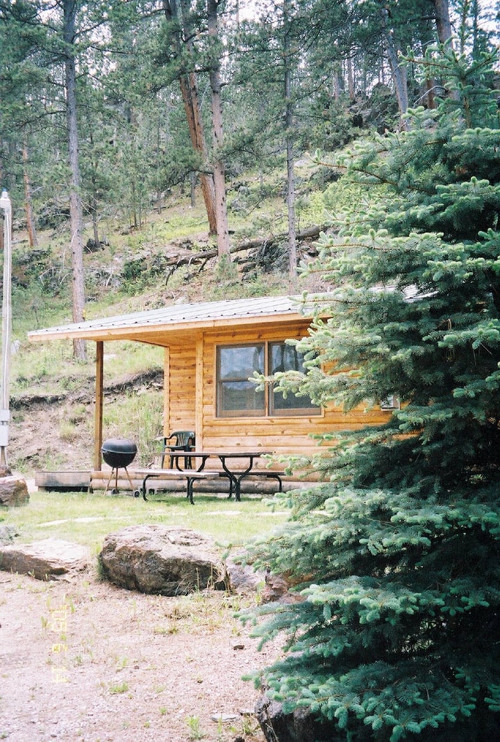 Cedar Cabin Near Mt. Rushmore At Pine Rest Cabins - Hill City, SD