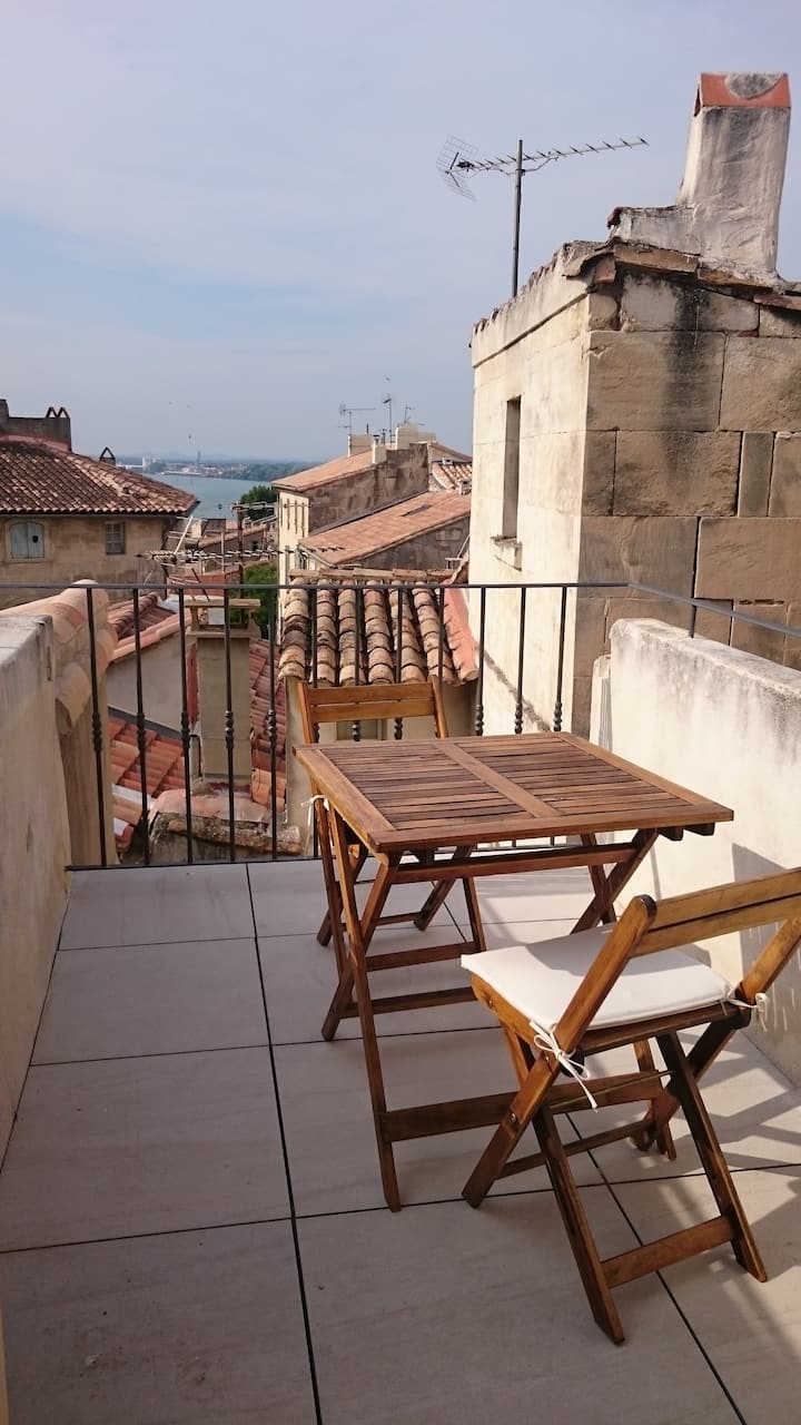 Terrasse Vue Exceptionnelle, Appartement De Charme - Arlés