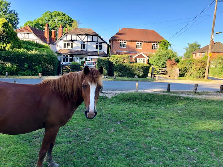 5 Bed Perfect For Contractors Or Holiday +Hot Tub! - New Forest District