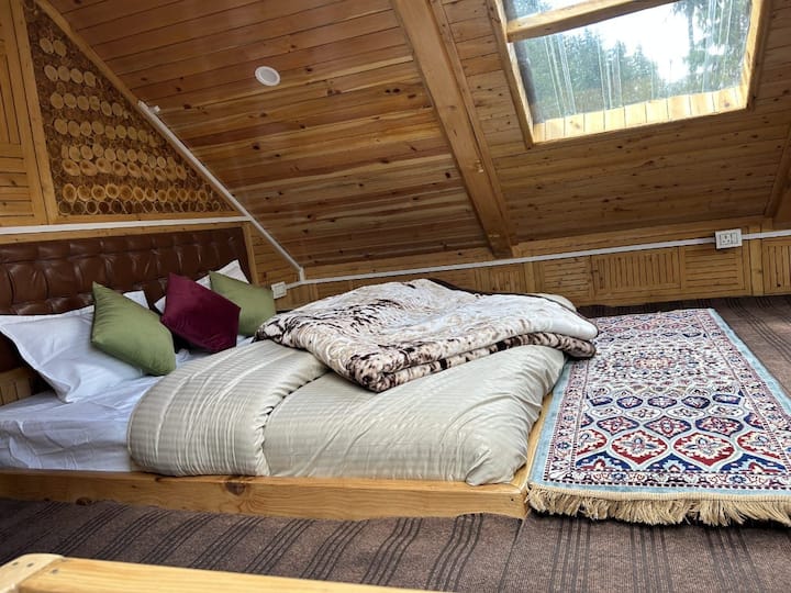 Mountain Pine Majesty - Jibhi