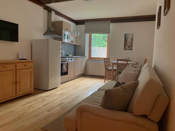 Comfortable Apartment For 5 Guests Near Hallstatt - Hallstatt