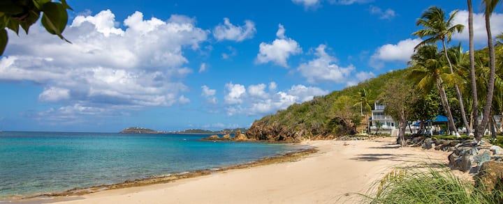 Studio At Frenchman's Limetree St Thomas - Saint Thomas