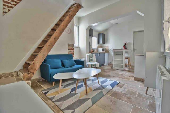 Appartement T1 Bis Centre Ville Jardin Des Plantes - Le Mans