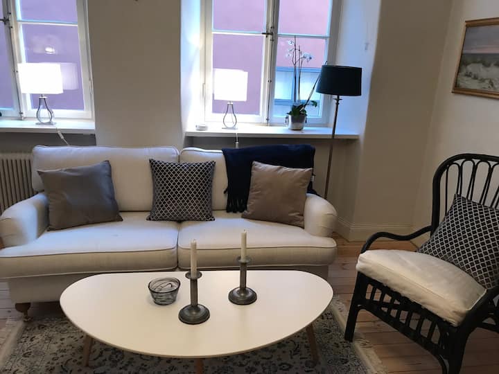 Cozy 1 Bedroom Apartment In The Heart Of Stockholm - Stockholm