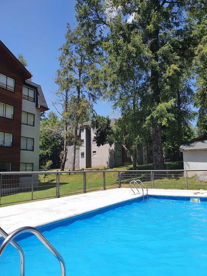 Departamento, Piscina Y Amplías áReas Verdes. - Pucón