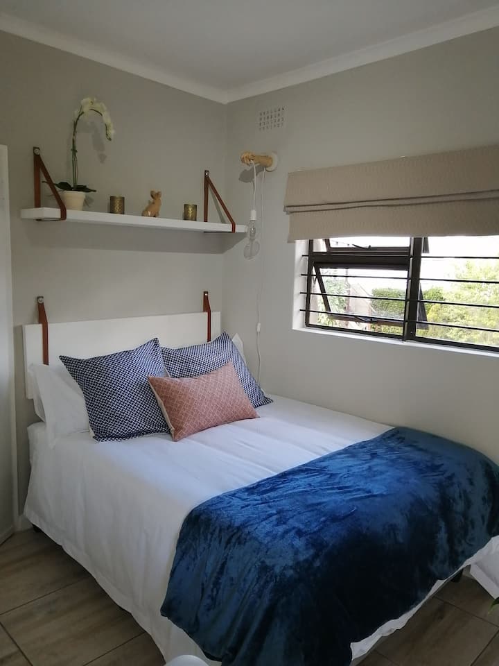 Luiperdboom, Batchelor 
Garden Flat, Loevenstein. - Western Cape