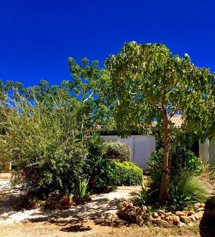 Quinta Nosso Paraiso Ferienhaus Lagos/ Pferderanch - 阿爾沃爾