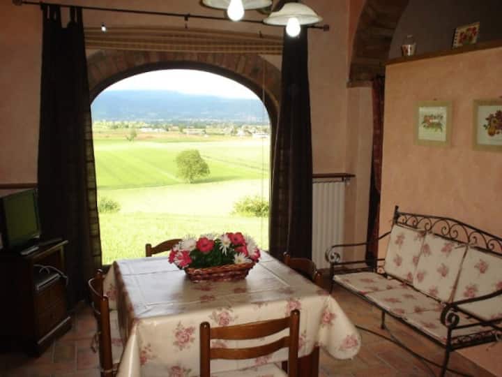 Agriturism Podere Casenove Vista Alta Valle Tevere - Città di Castello