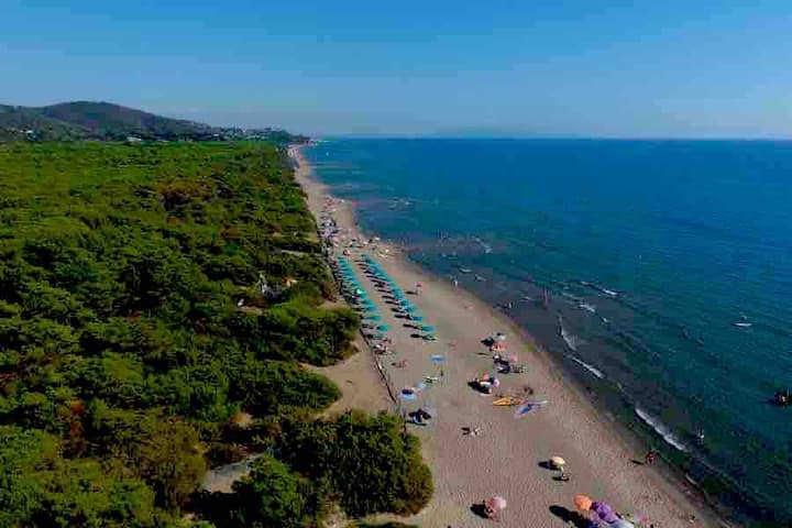 The Little Nest - Castiglione della Pescaia