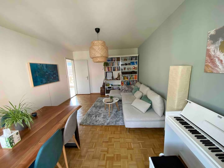 Basel City Centre Apt: Huge Terrace With Ice Bath - Basel