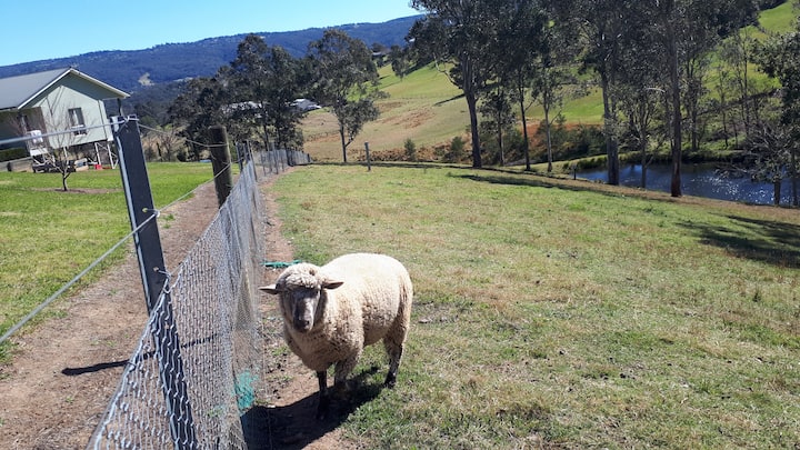 Highfields Country  Cottages Kurrajong
C1-hills - Kurrajong