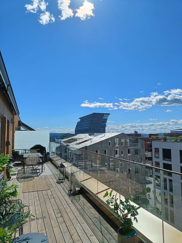 Penthouse Apartment With 2 Huge Roof Terrace's - Oslo Central Station