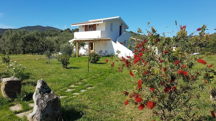 Property With One Bedroom In Olbia, With Wonderful Mountain View, Furn - Olbia