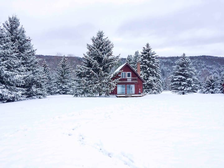 Cozycatskillchalet W/ Hot Tub (Catskill Mountains) - Hudson Valley, NY