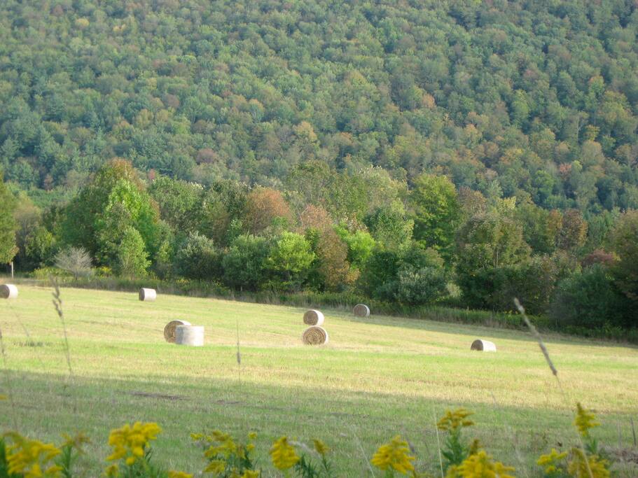 Round Top Retreat, Rustic Cabin - Cabins for Rent in Richford