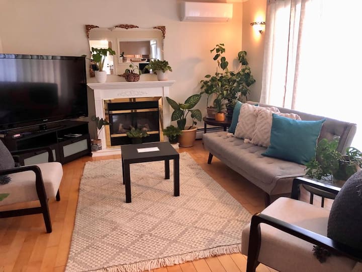 Casa Bonita - Halifax