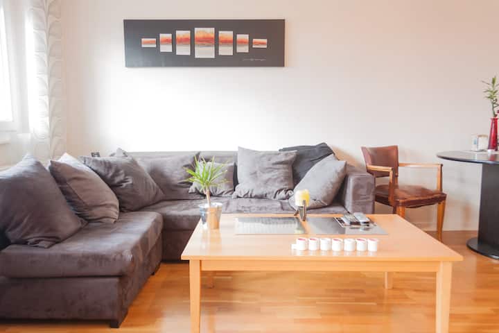Appartement Entier F3 Neudorf - Ibis Strasbourg Centre Petite France