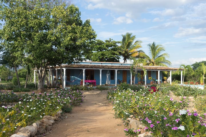 Casa Villa Hermosa Chambre 2 - Cuba