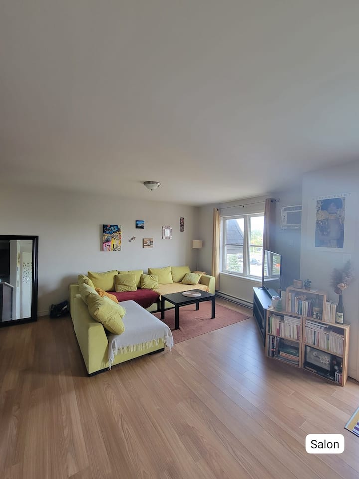 Appartement Spacieux Et Récent - Brossard