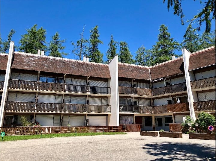 Grand Studio - L’oustalet - Valberg - Valberg