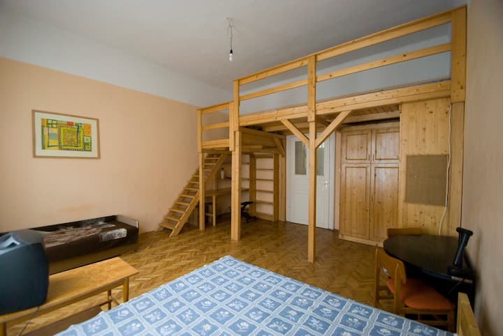 Simple 65m2 Flat In Berzenczey 26 - Budapest