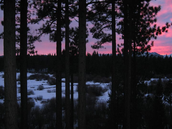 Gorgeous Views From The Treehouse ! - South Lake Tahoe, CA