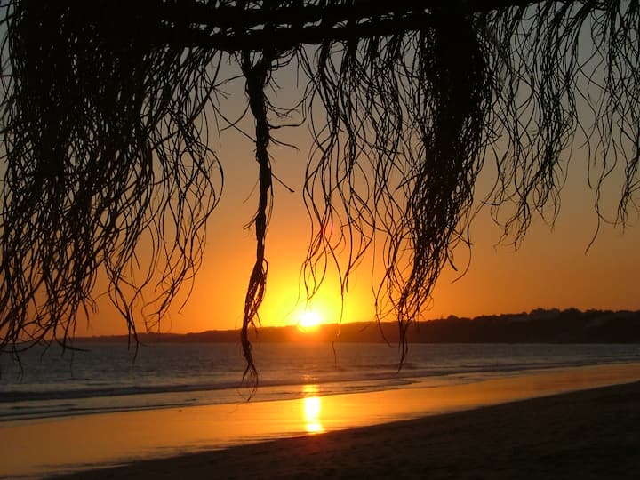 Sunny Pine Beach House (At Falésia) - Algarve
