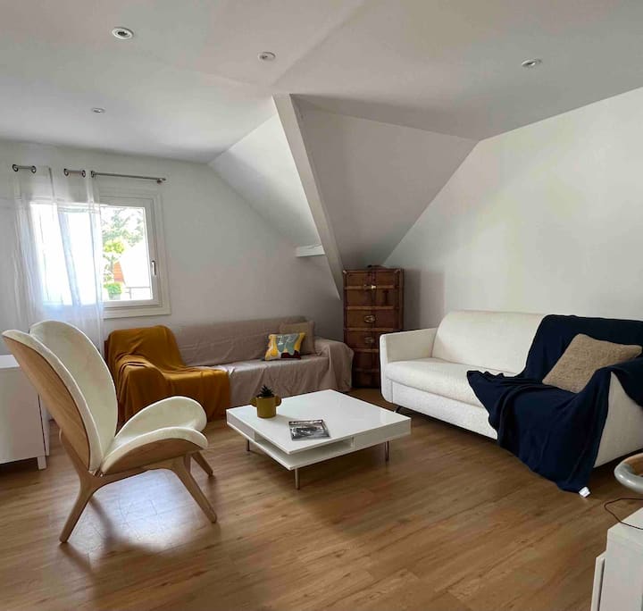 Appartement Proche Du Lac D’annecy - Menthon-Saint-Bernard