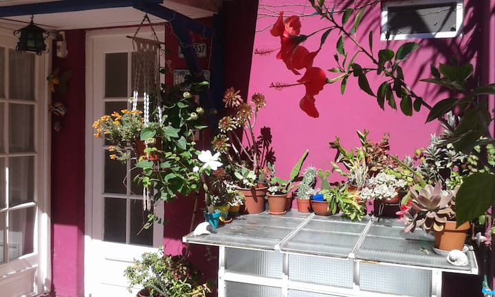 Lovely Sunny Department + Terrace - Buenos Aires