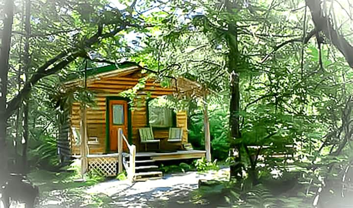 Alaska Creekside Cabins - Seward, AK