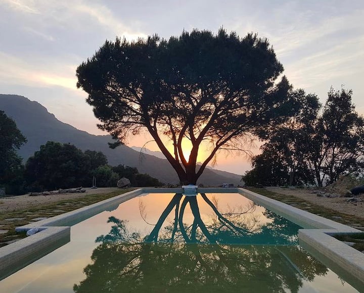 Chambre Climatisée Dans Villa Avec Piscine Privée - Tizzano