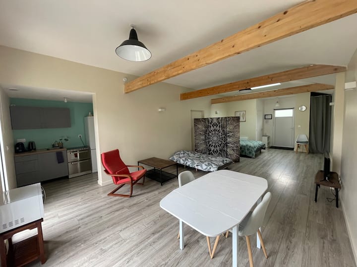 Studio  Spacieux, Calme, Lumineux Avec Terrasse - Angers