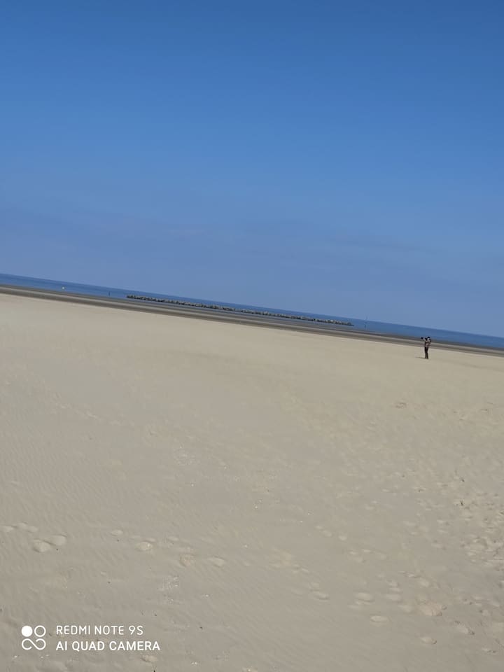 Apt Neuf Terrasse à 300 M De La Plage Et Commerces - Plage de Leffrinckoucke