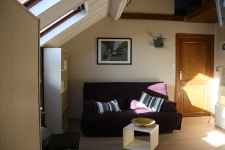 Chez Jeanne, Appartement à Bruxelles - Brussels