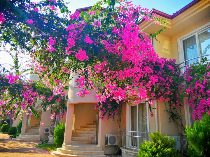 ÇAlış Plajı Sunset Beach Club - Çalış Beach