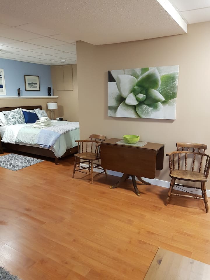 Bachelor Suite 10 Min Walk To Fmc - Calgary