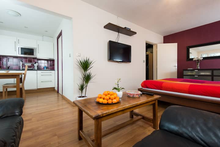 Appart. Proche Parc De La Tête D'or - ibis budget Lyon Villeurbanne