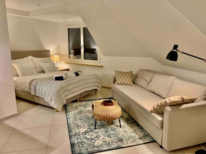 Brandnew Quiet Studio In The City Center (Wg4) - Zürich