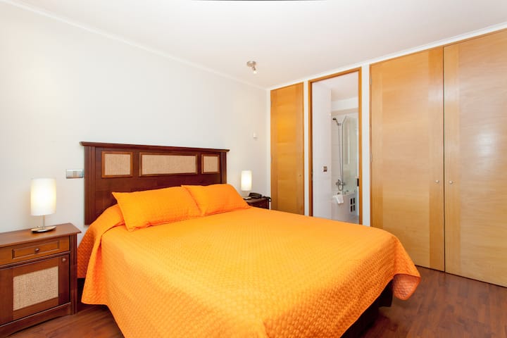 Mejor Ubicación Departamento De 1 Dormitorio - Providencia