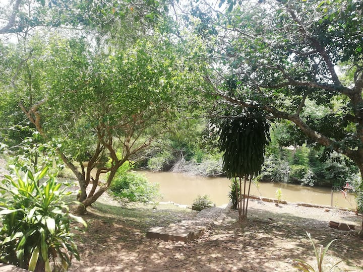 Agradable Casa Quinta Con Acceso Directo Al Arroyo - Caazapá