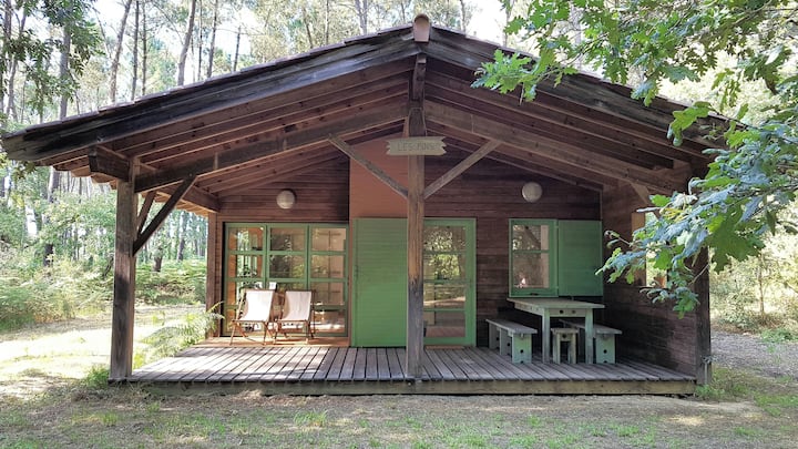 Gîte à La Ferme "Les Pins" - Gironde