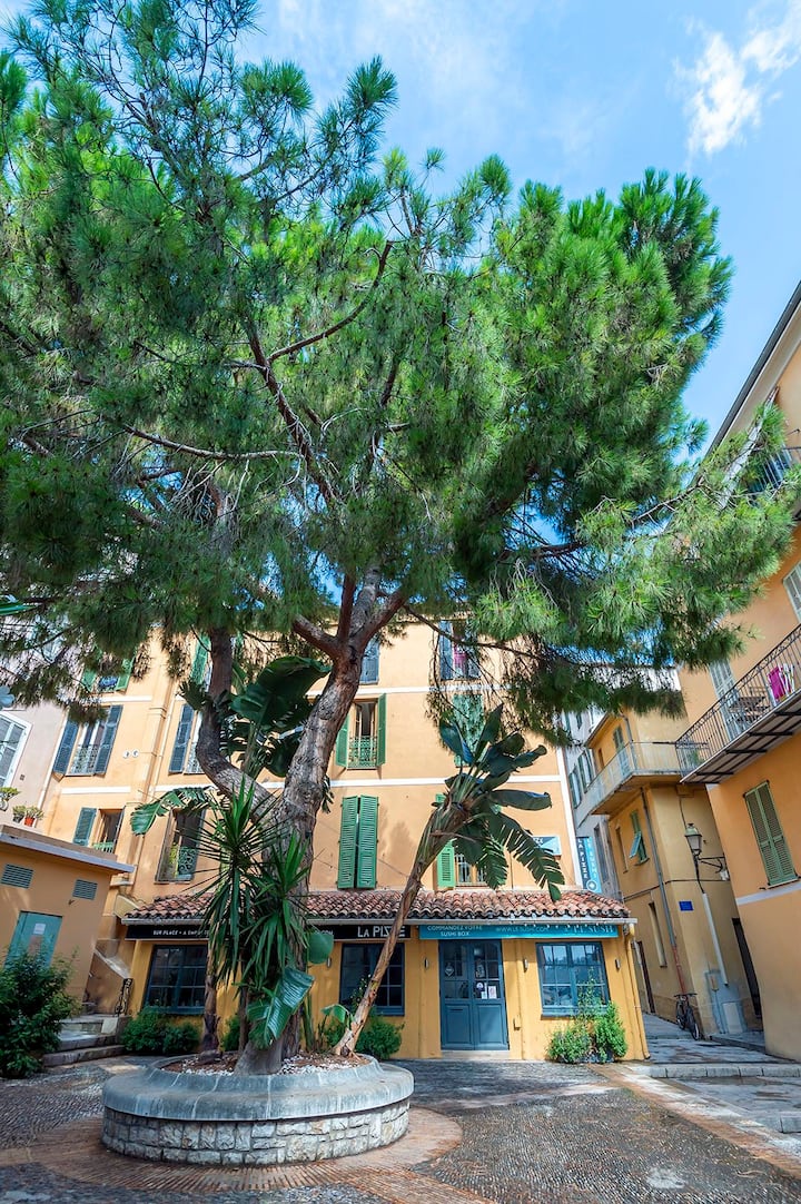 Agréable Appartement, Climatisé Au Pied Des Plages - Villefranche-sur-Mer